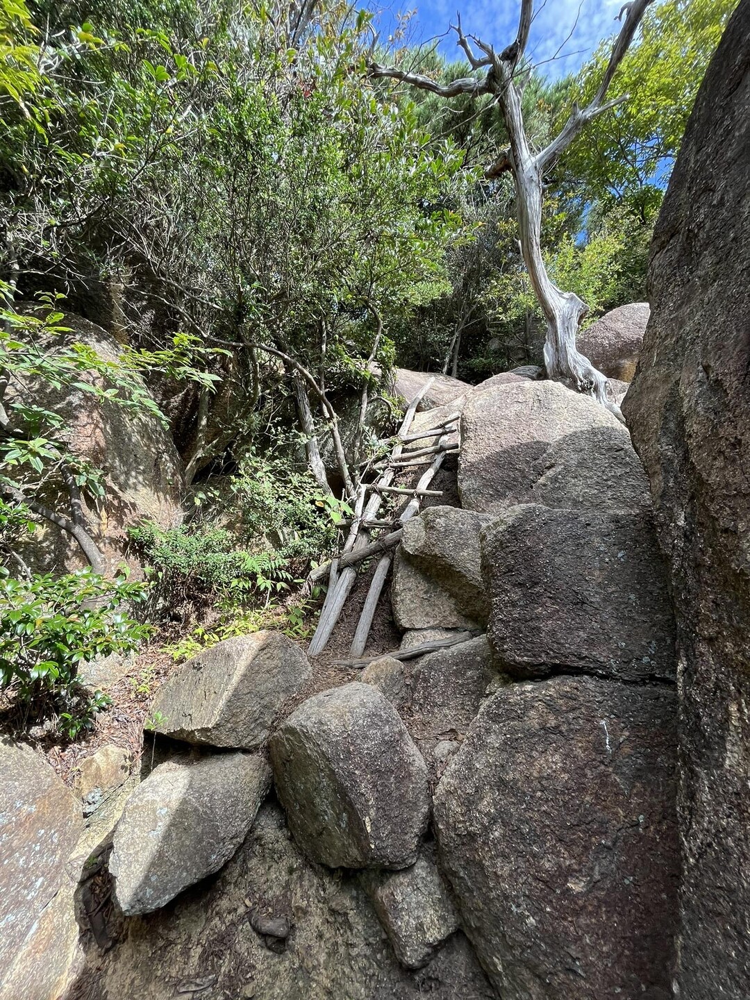 kazu kunさんの投稿したフィールドメモ | YAMAP / ヤマップ