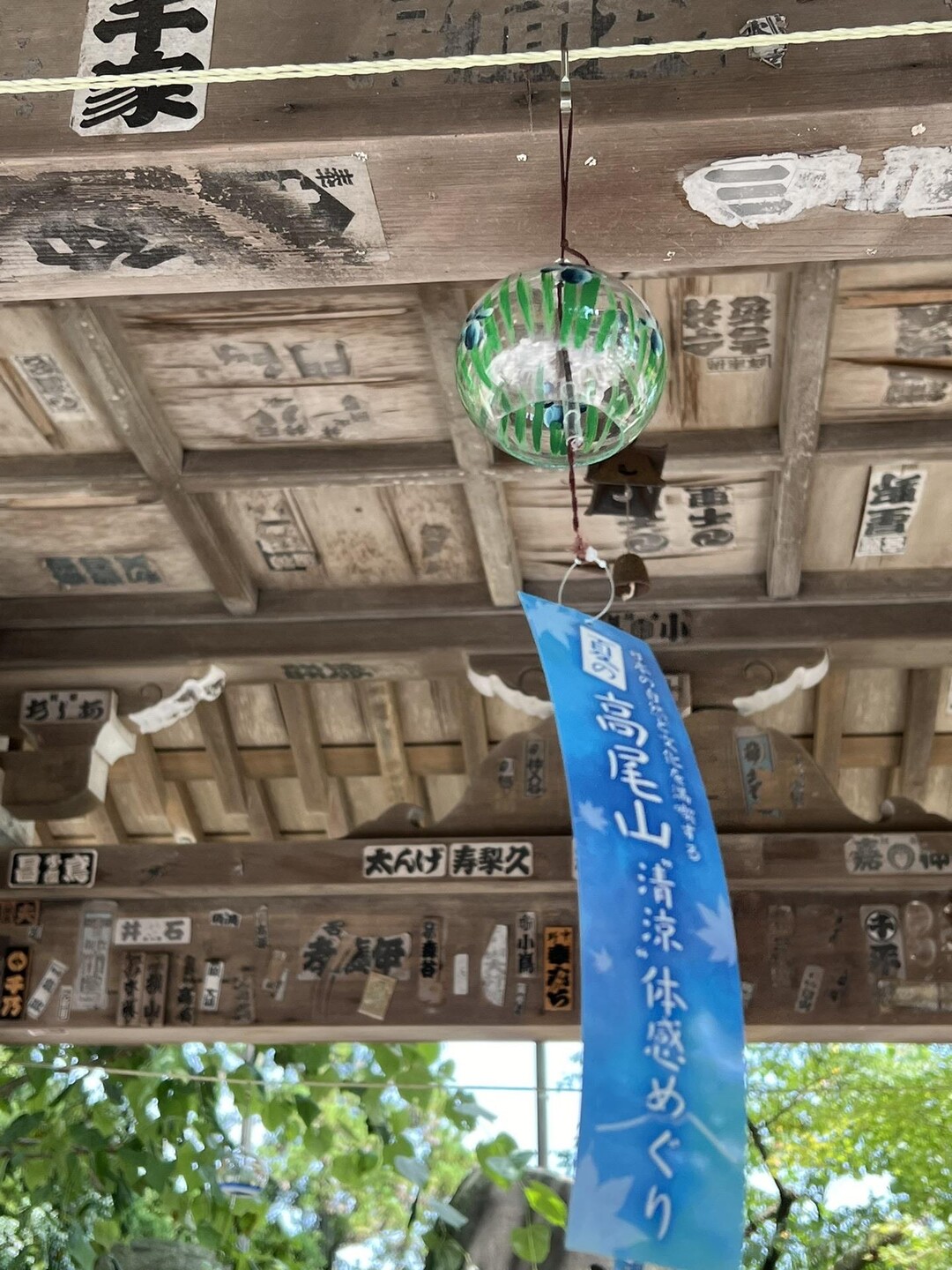 高尾山・神変山 / yumiさんの高尾山・陣馬山・景信山の活動日記 | YAMAP / ヤマップ
