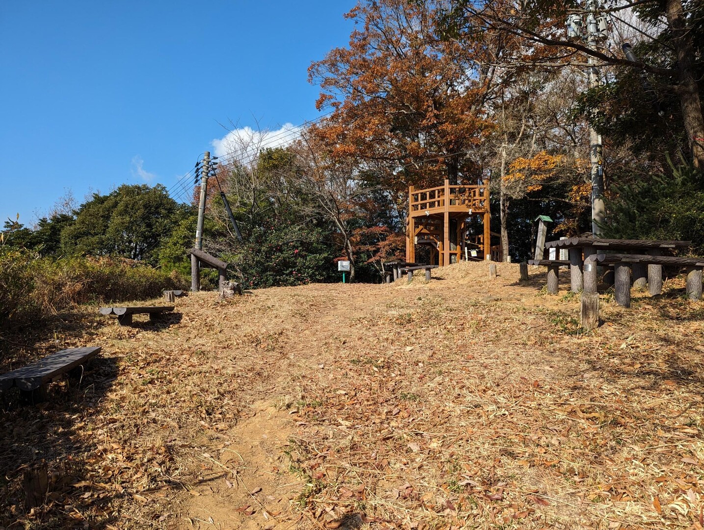 とおの山往復（寄り道アリ） / yocchi@さんのとおの山・久米天神山の活動データ | YAMAP / ヤマップ