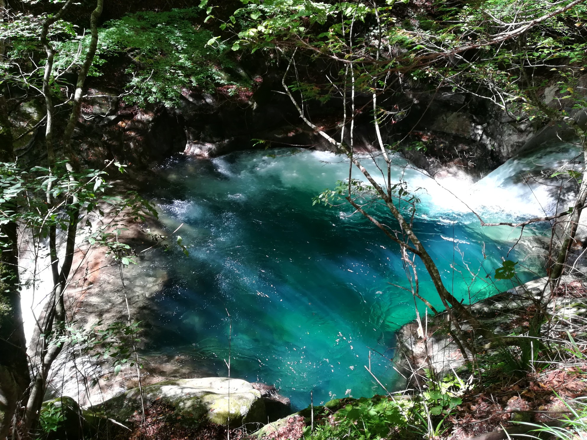 feeling 😌 japanese ... / 🌸Springthunders⚡さんのモーメント | YAMAP / ヤマップ