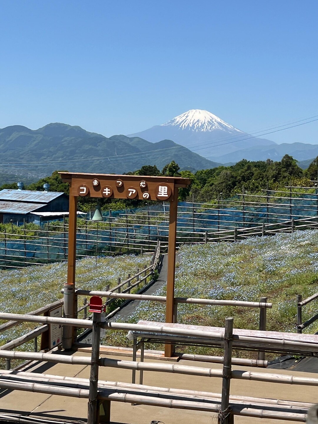 松田山散策 / Nic_kgさんの高松山・大野山の活動データ | YAMAP / ヤマップ