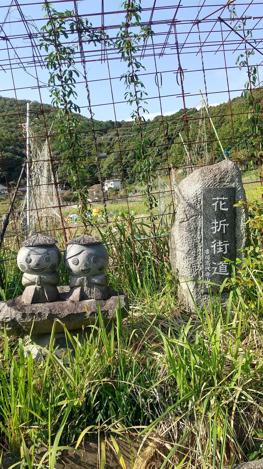妙見山 上杉尾根コース&大堂越🌲 / 弥山さんの能勢妙見山・歌垣山・天台山の活動データ | YAMAP / ヤマップ