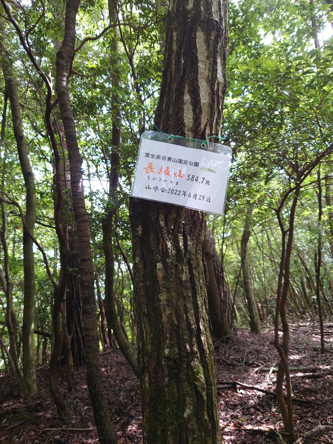 長坂山(標高584.7m) / ユートクさんの長坂山・赤目四十八滝の活動データ | YAMAP / ヤマップ