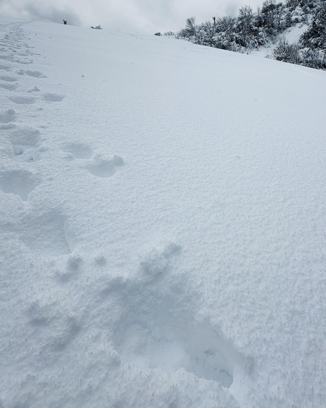 剱岳のダメージから ようやくちょっとだけ... / akko☆さんのモーメント | YAMAP / ヤマップ