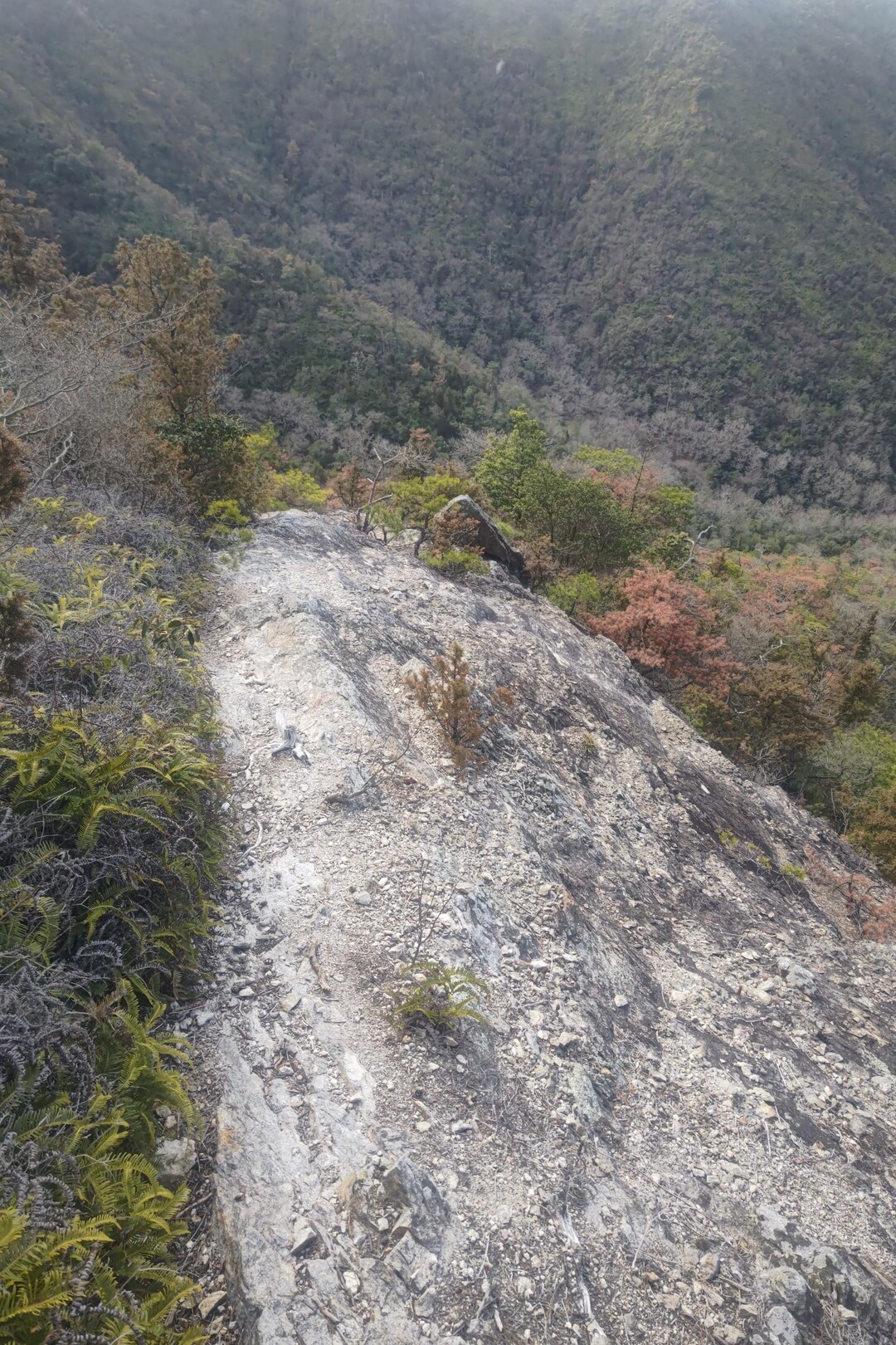 DSIさんの投稿したフィールドメモ | YAMAP / ヤマップ