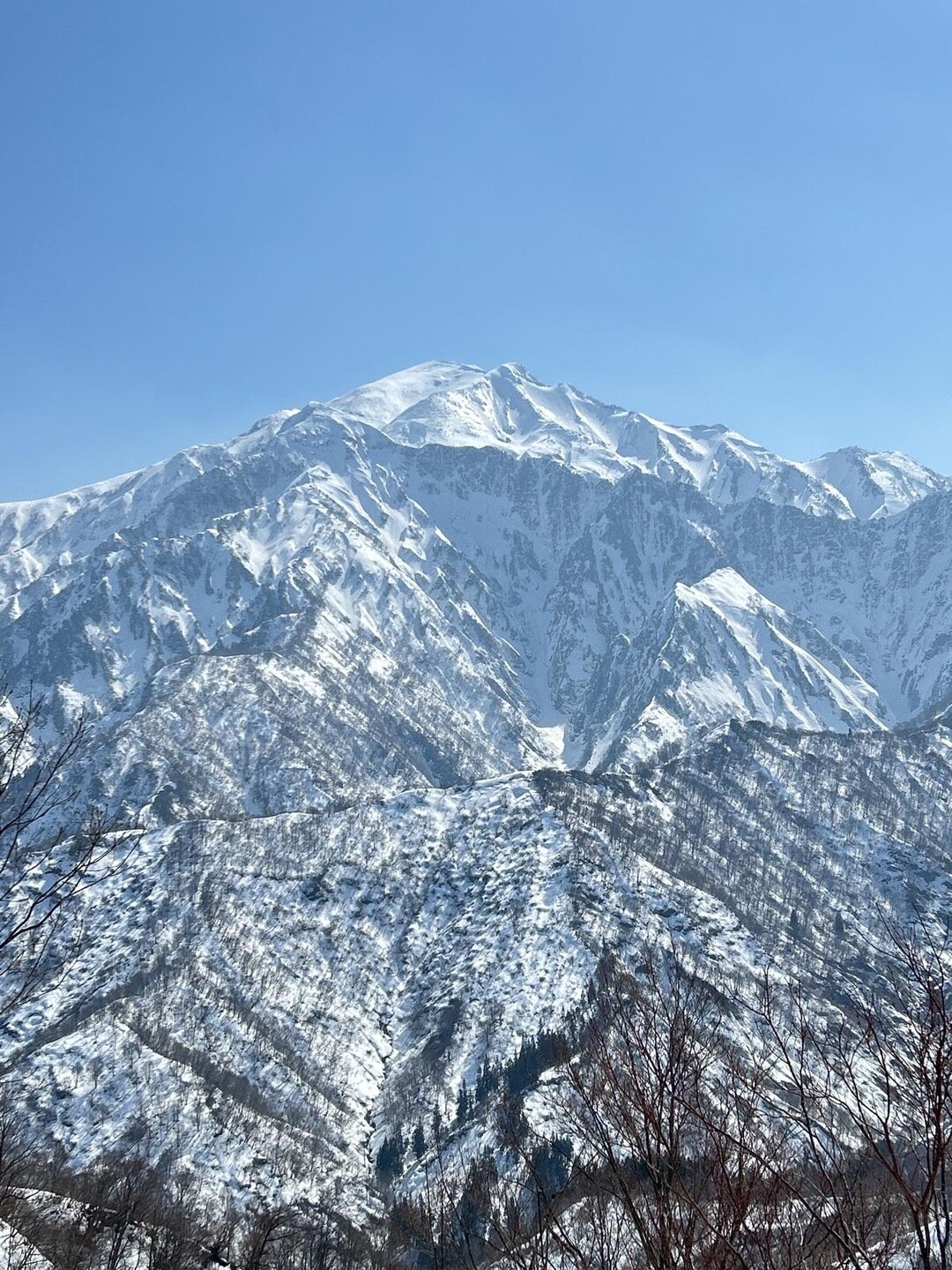小畑山 / B・Yさんの津久の岐山の活動データ | YAMAP / ヤマップ