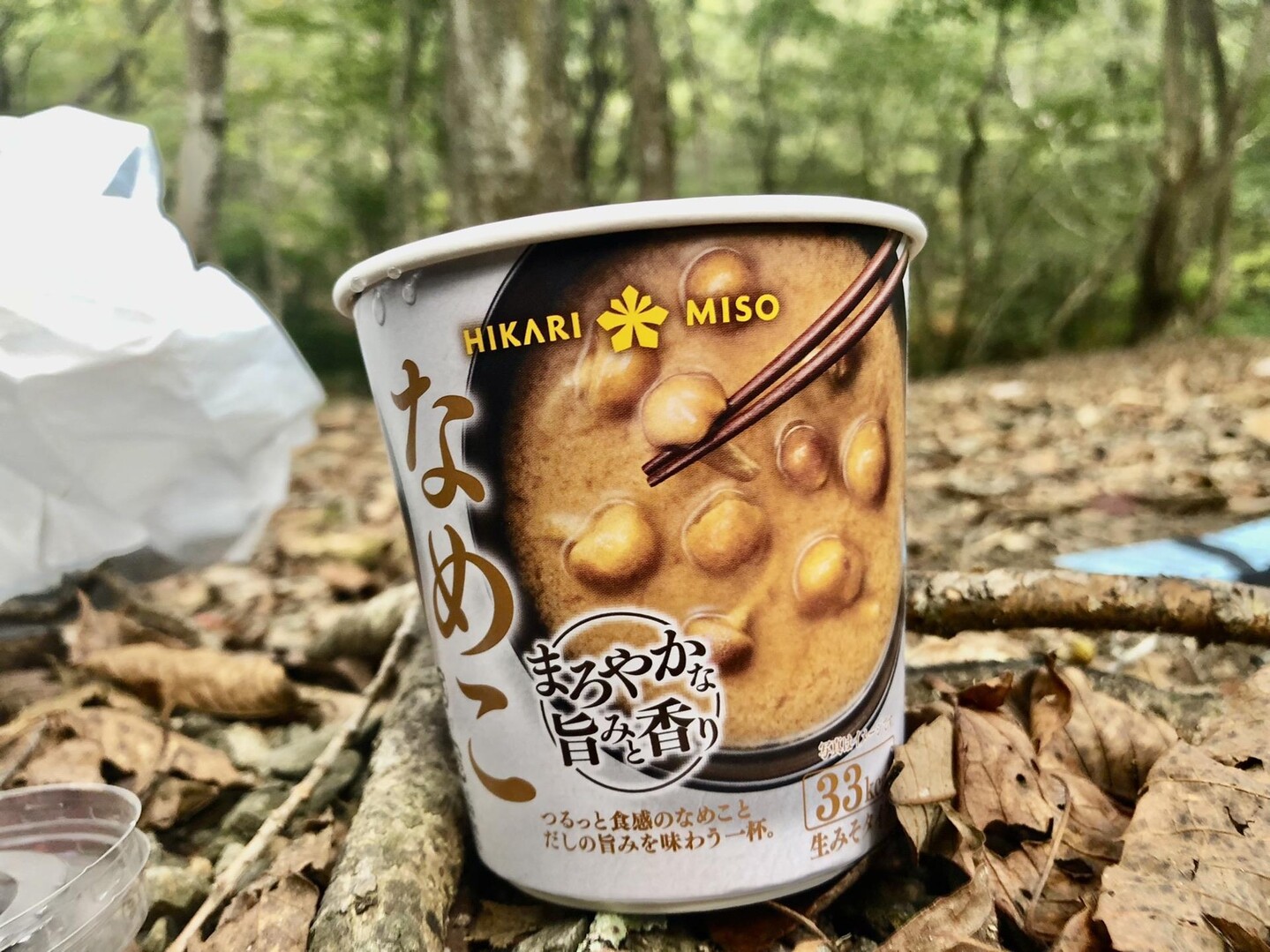 久し振りに歩いた〜！ / 登 人 《 ITC-ONE 》さんの御在所岳（御在所山）・雨乞岳の活動データ | YAMAP / ヤマップ