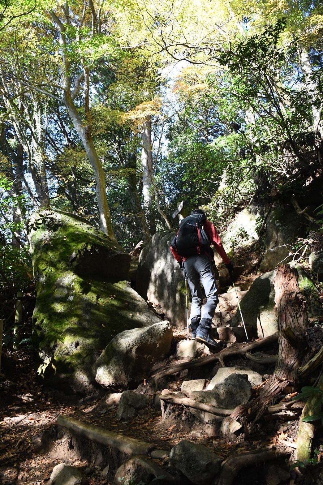 秋の終わりかけ、筑波山 / 中々さんの筑波山の活動データ | YAMAP / ヤマップ