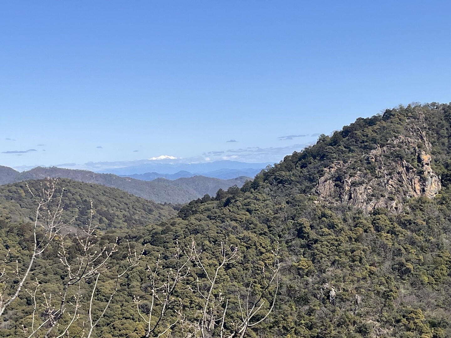 お昼休み散歩 岩戸山 / yuki yamaさんの金華山・洞山・舟伏山の活動データ | YAMAP / ヤマップ