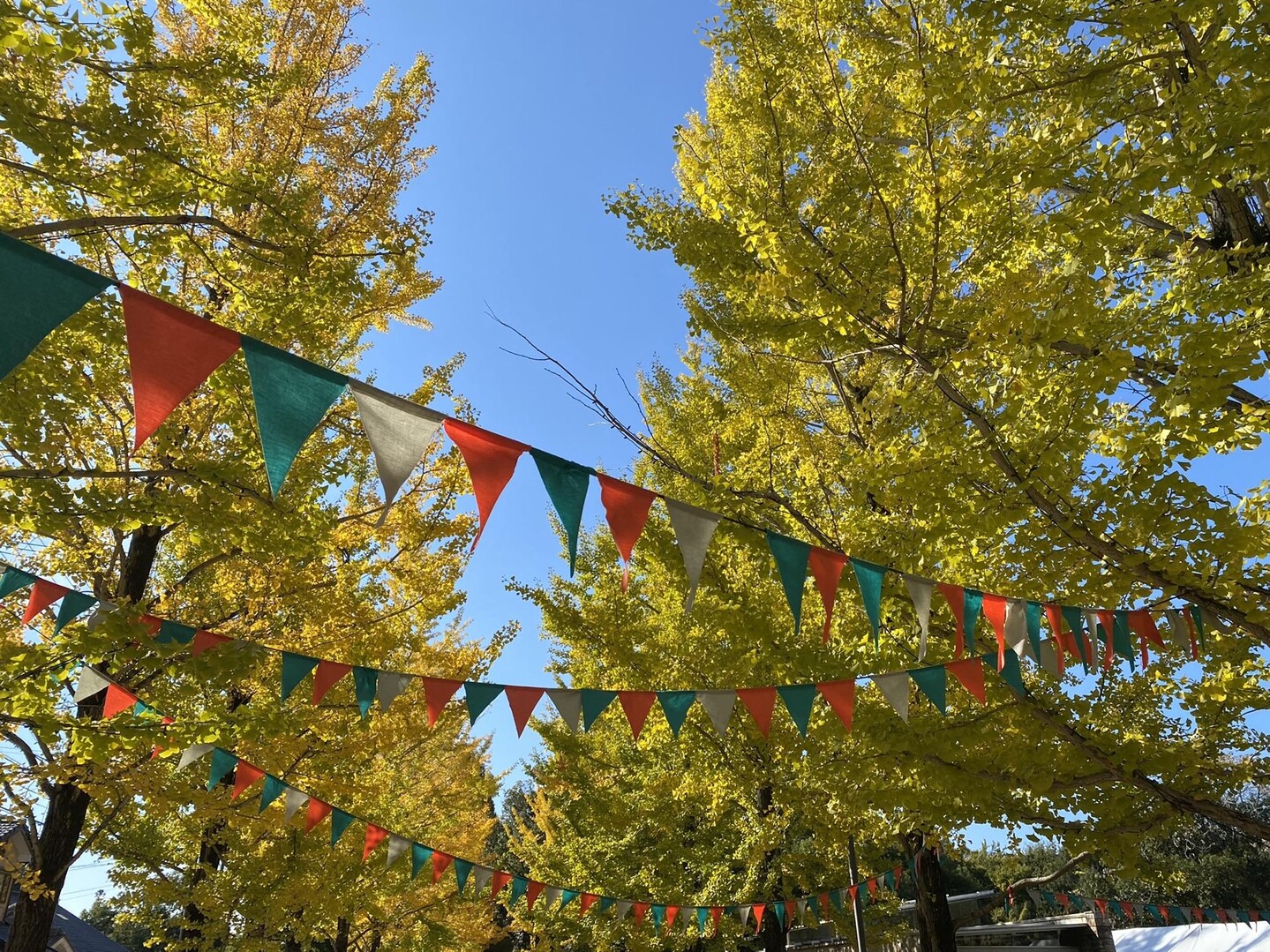 11月3日各務原マーケット日和 気持ちの... / 17→miho→17さんのモーメント | YAMAP / ヤマップ