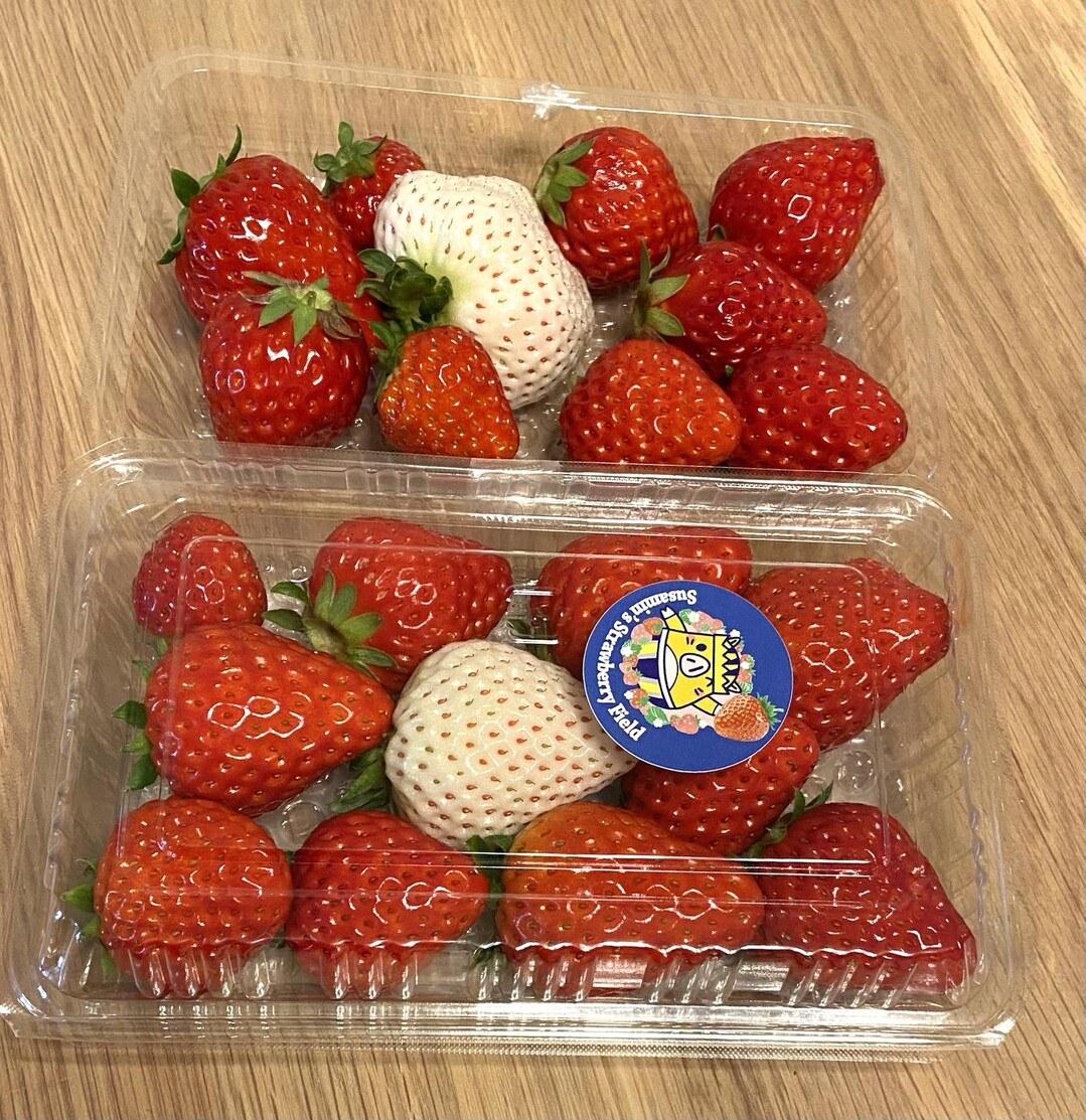 加太に車中泊後連れは釣り私は山歩きに 第... / cacoさんのモーメント | YAMAP / ヤマップ