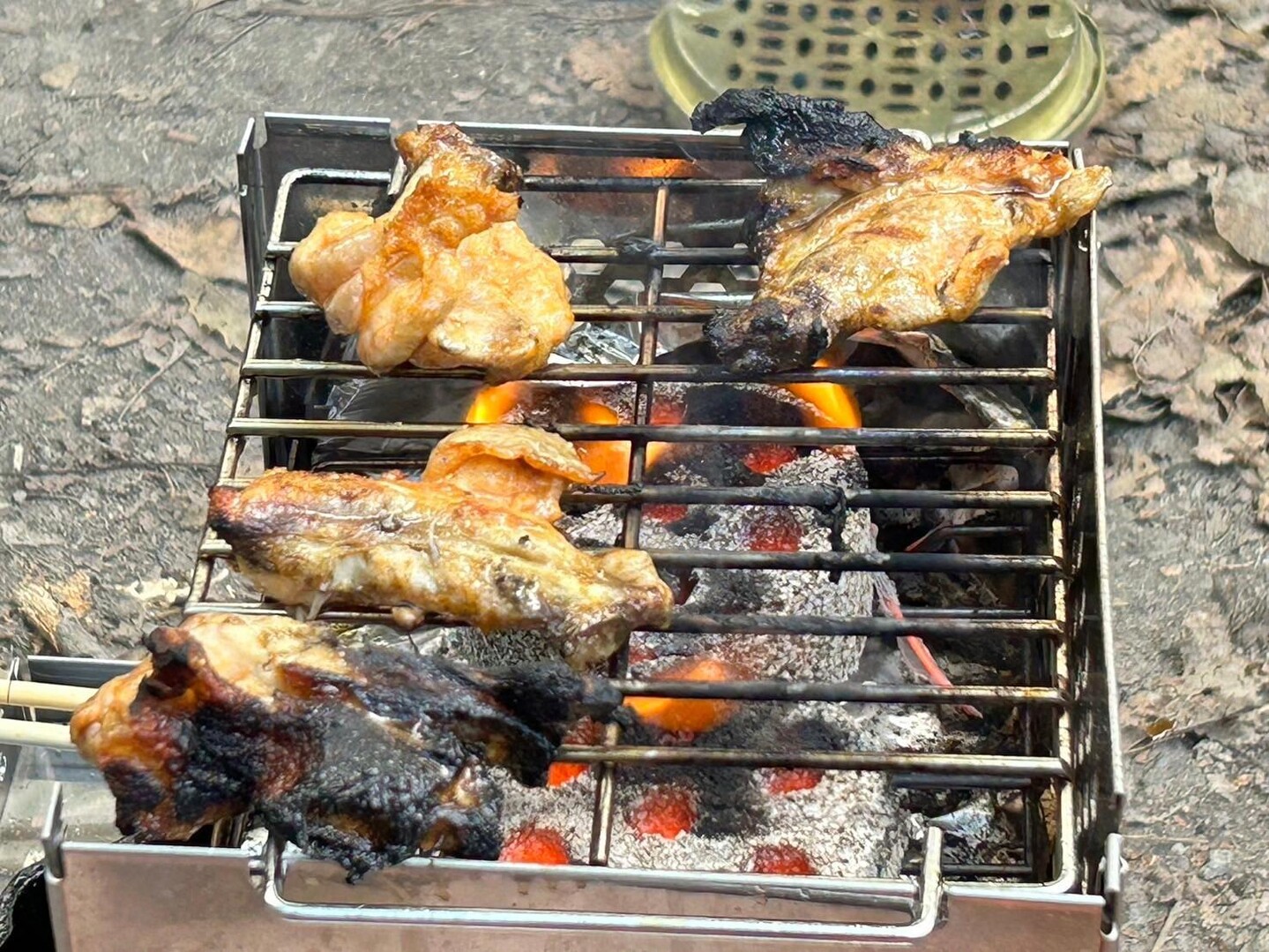 メインはBBQ🍖茶臼山 / LEMON🍋さんの螺山・茶臼山の活動データ | YAMAP / ヤマップ