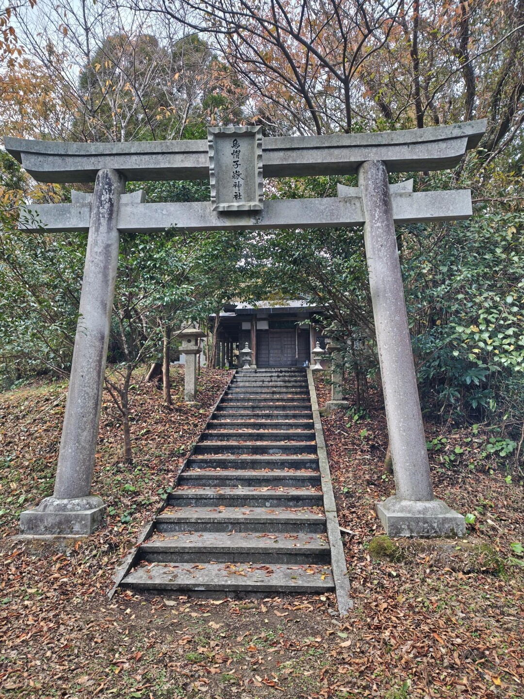 烏帽子岳 / Satomiさんの烏帽子岳の活動データ | YAMAP / ヤマップ