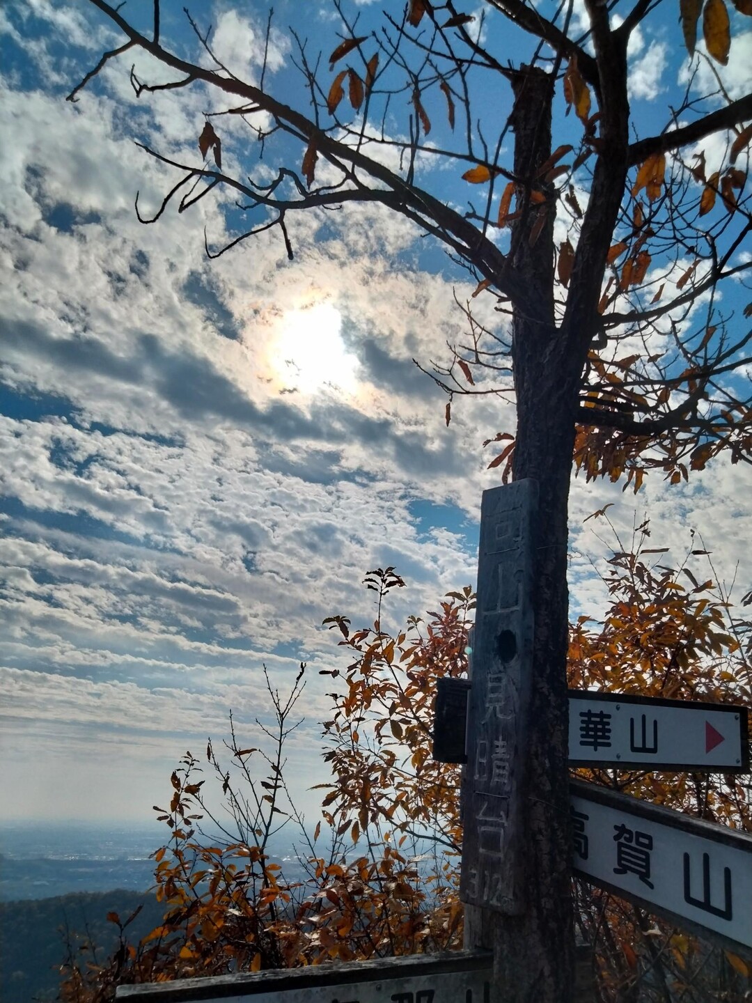 向前山・須衛山・岩坂山 / KUMIKOさんの各務原アルプス（関南アルプス）・八木三山の活動データ | YAMAP / ヤマップ