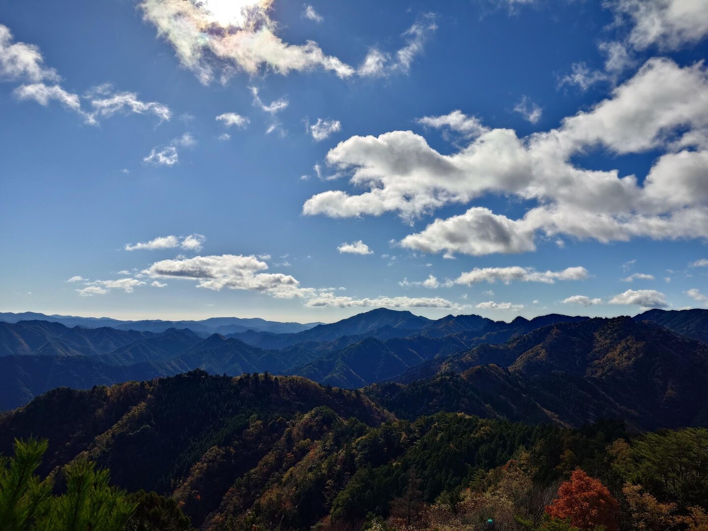 岩古谷山 / isoさんの宇連山・鳳来寺山・岩古谷山の活動データ | YAMAP / ヤマップ