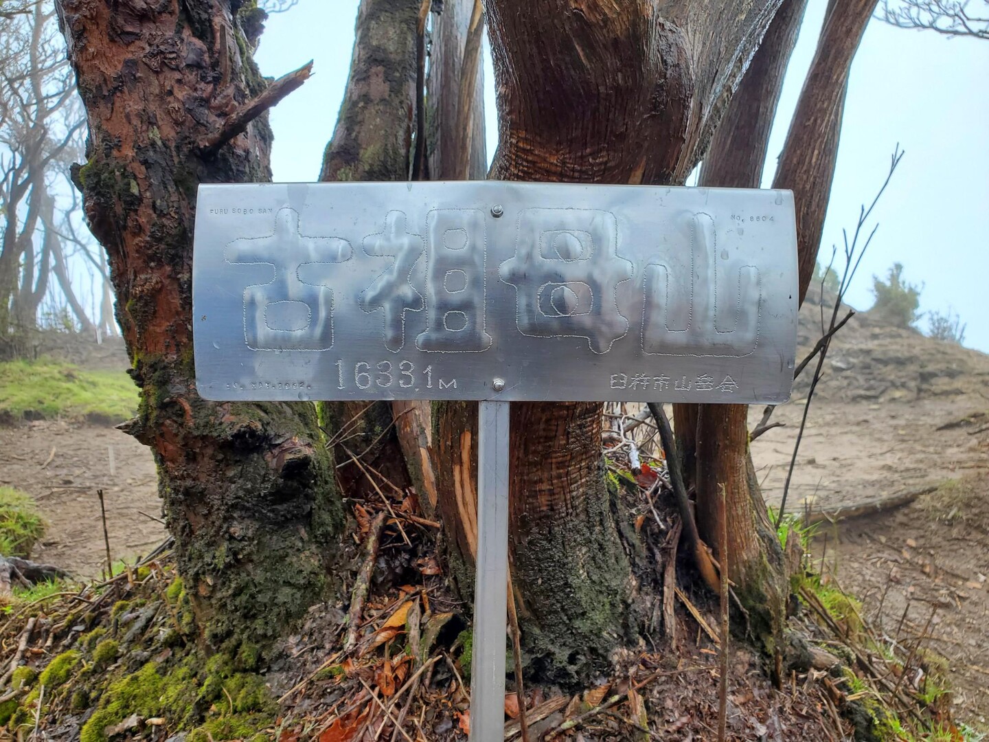 古祖母山 / HAYATEさんの祖母山の活動データ | YAMAP / ヤマップ