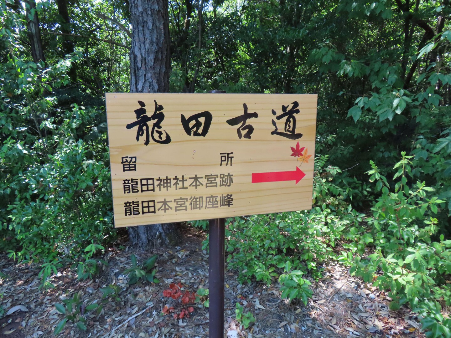 三室山 （恩智越え～三郷駅まで🚶） / Howardさんの明神山・玉手山の活動データ | YAMAP / ヤマップ