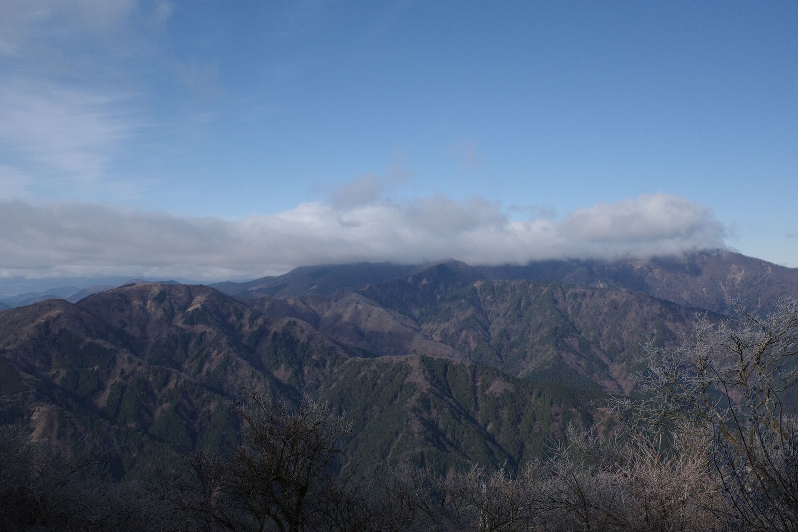 七沢から大山 / KAAZ さんの大山の活動データ | YAMAP / ヤマップ