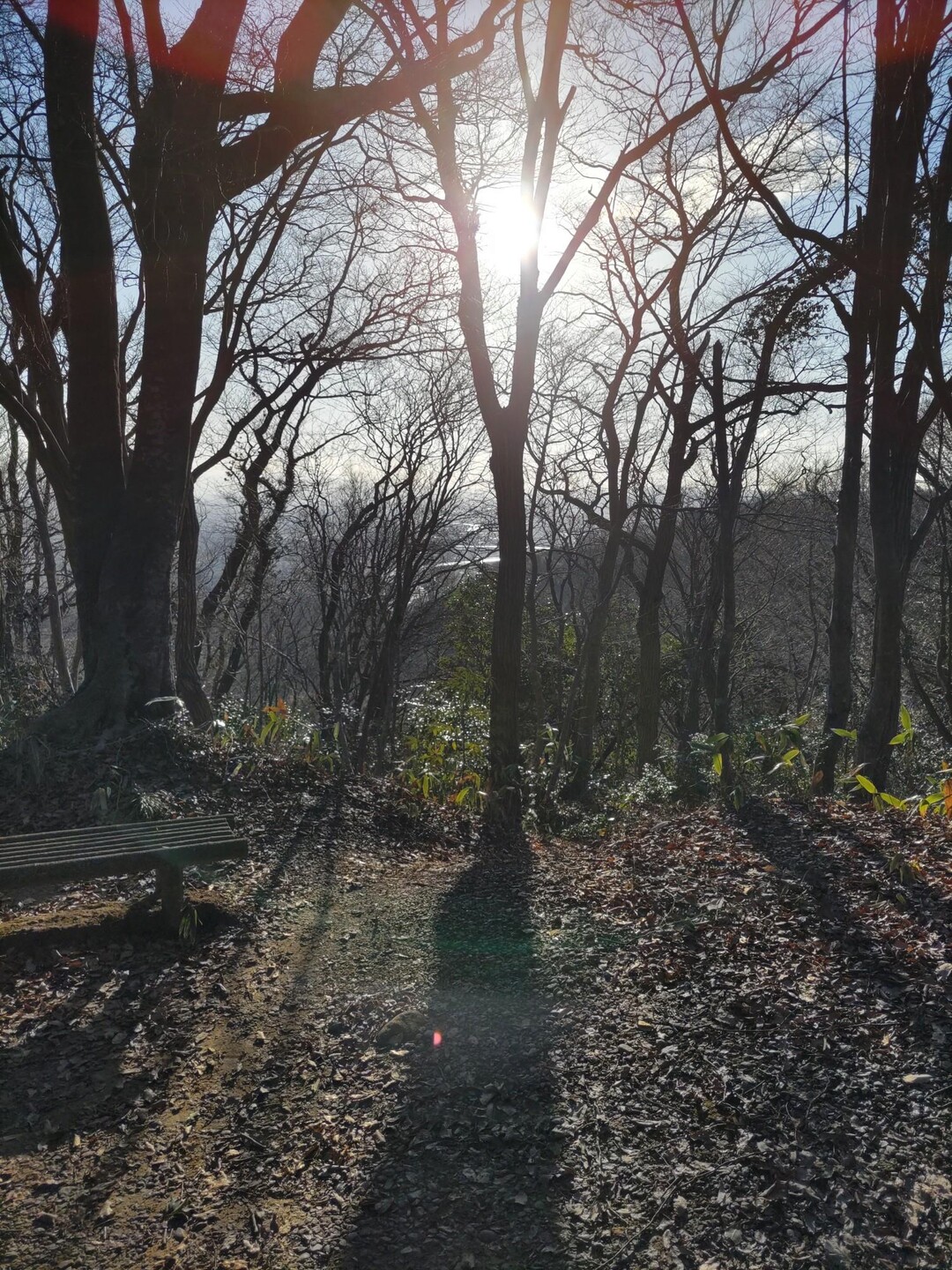 二上山 / コウシロウさんの二上山・大師ヶ岳・摩頂山の活動データ | YAMAP / ヤマップ