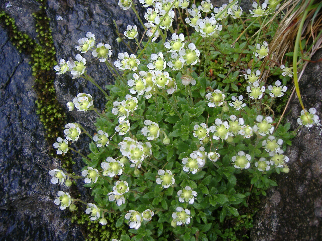 kumomaのページ | YAMAP / ヤマップ