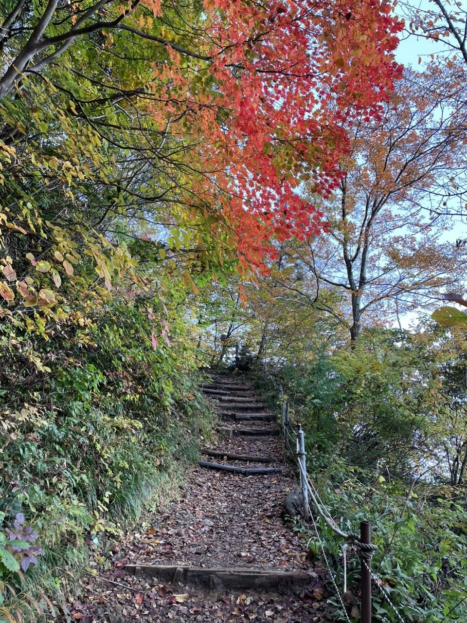 cococoのページ | YAMAP / ヤマップ