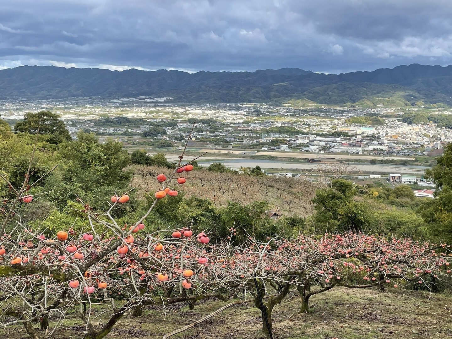 龍門山⛰️…関西百名山 / やすふみさんの龍門山・飯盛山の活動データ | YAMAP / ヤマップ
