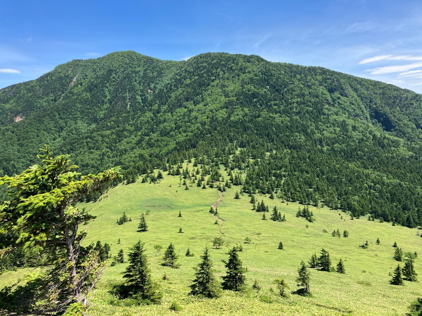 根子岳・【百名山】四阿山 / J. Yabeさんの四阿山・根子岳の活動データ | YAMAP / ヤマップ