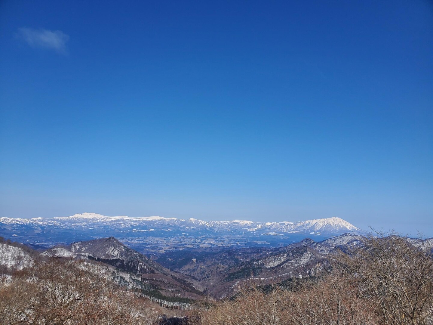 東根山 / rieさんの南昌山・東根山・箱ヶ森の活動日記 | YAMAP / ヤマップ