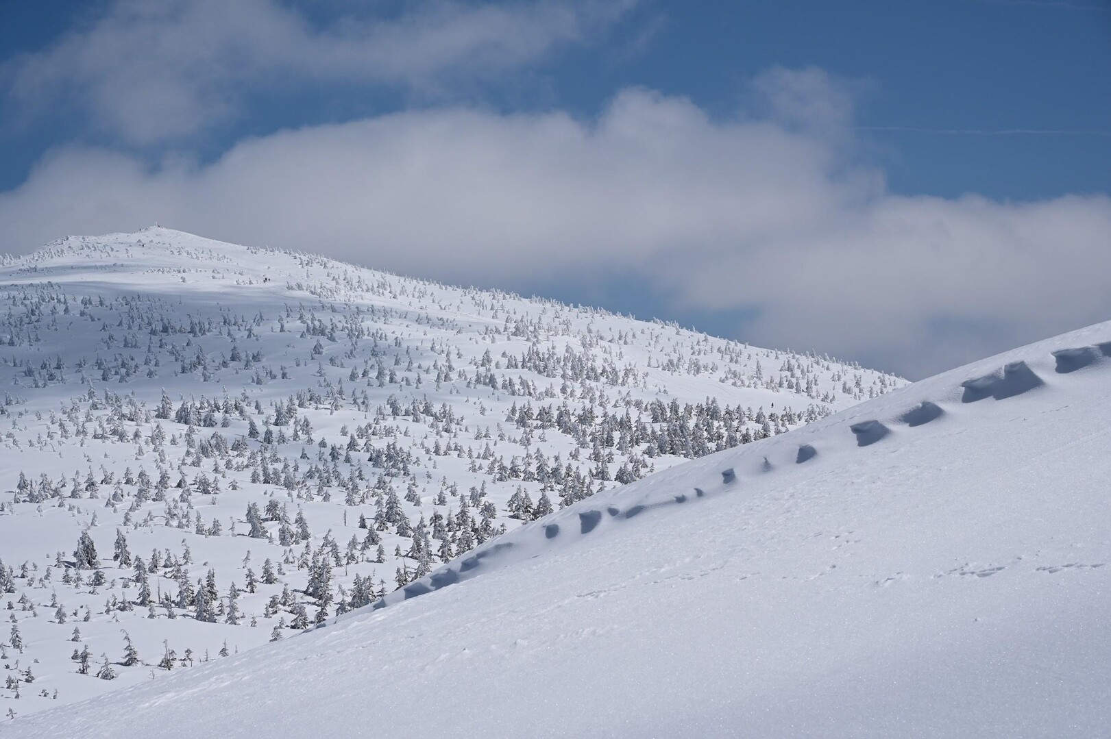 森吉山 / Okita Shimaoさんの森吉山の活動データ | YAMAP / ヤマップ