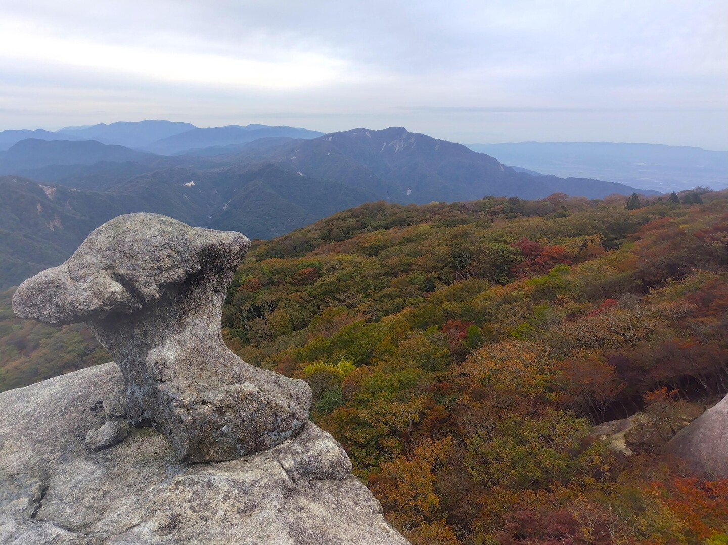 ハライド・青岳・国見岳・御在所岳・御在所岳(西峰)・御在所岳（北西尾根） / TOMTOMさんの御在所岳（御在所山）・雨乞岳の活動データ | YAMAP / ヤマップ