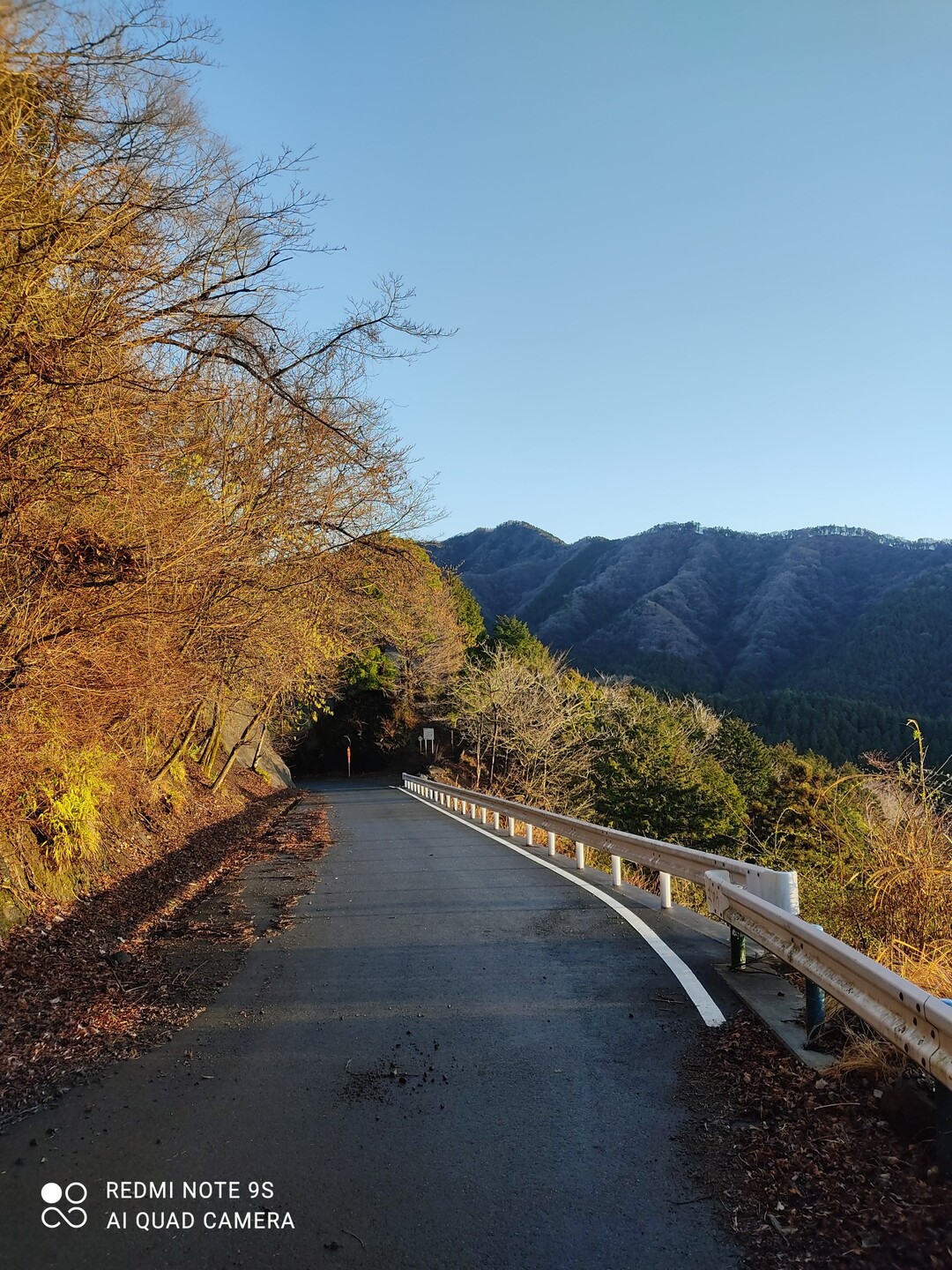 唐沢林道 2022-03-19 / KAAZ さんの大山の活動データ | YAMAP / ヤマップ