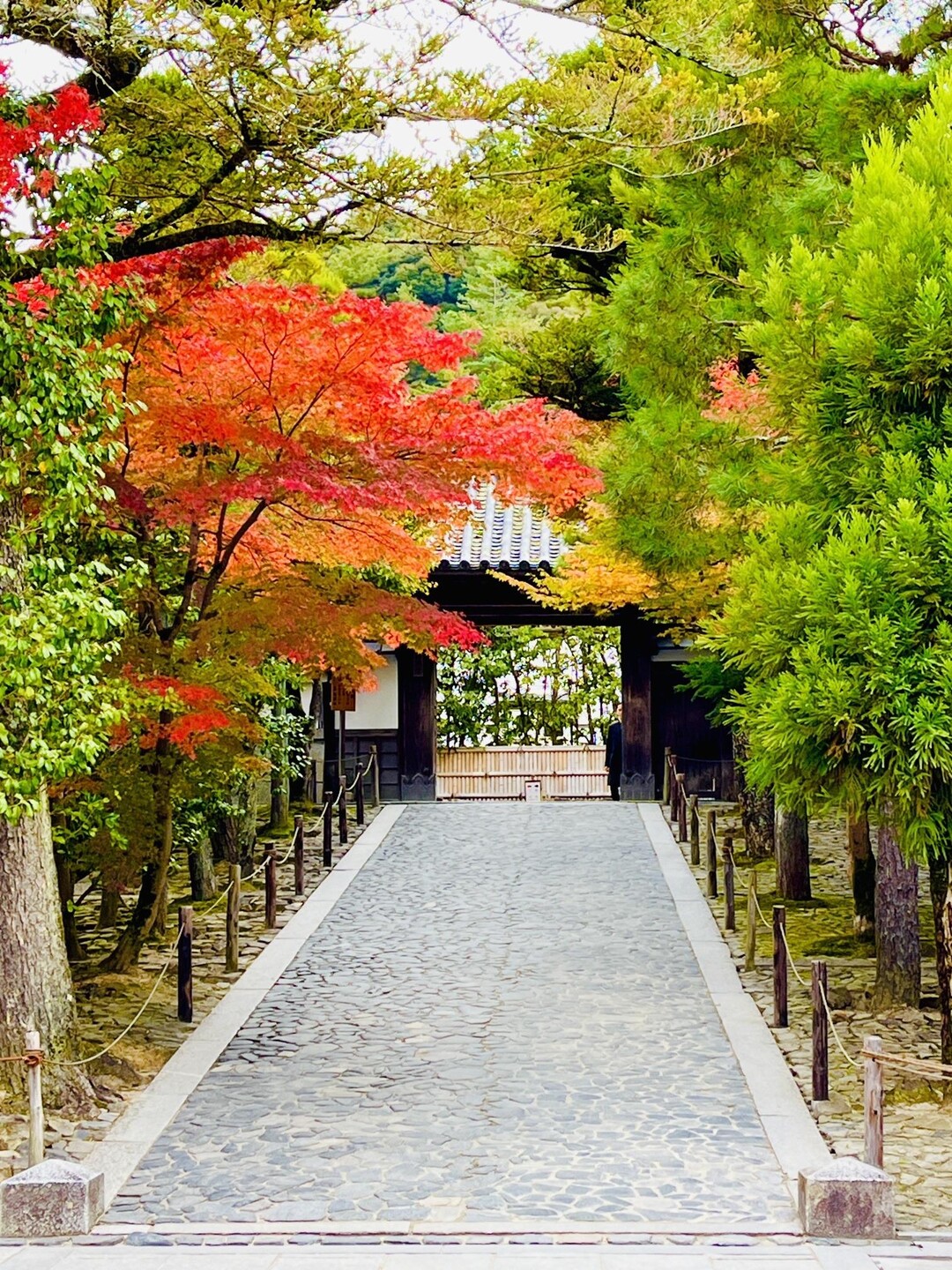 裏大文字山【Peek hunt】 / 🍄やき🐛🐜さんの大文字山・如意ヶ嶽・稲荷山の活動データ | YAMAP / ヤマップ