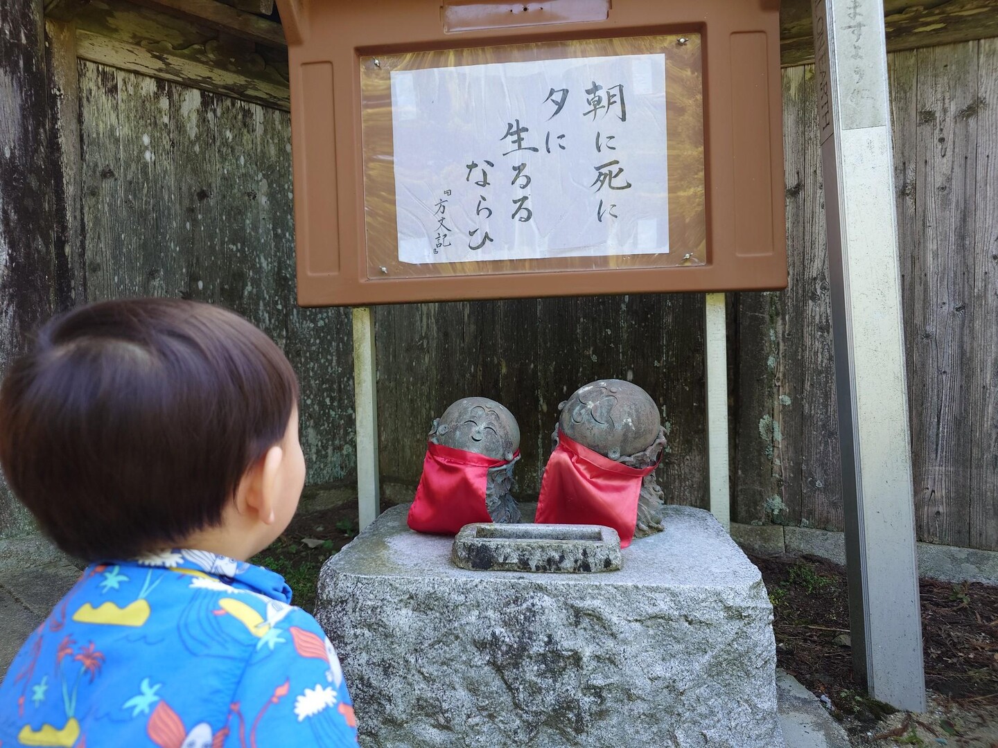 出石山 / manaさんの出石山の活動データ | YAMAP / ヤマップ