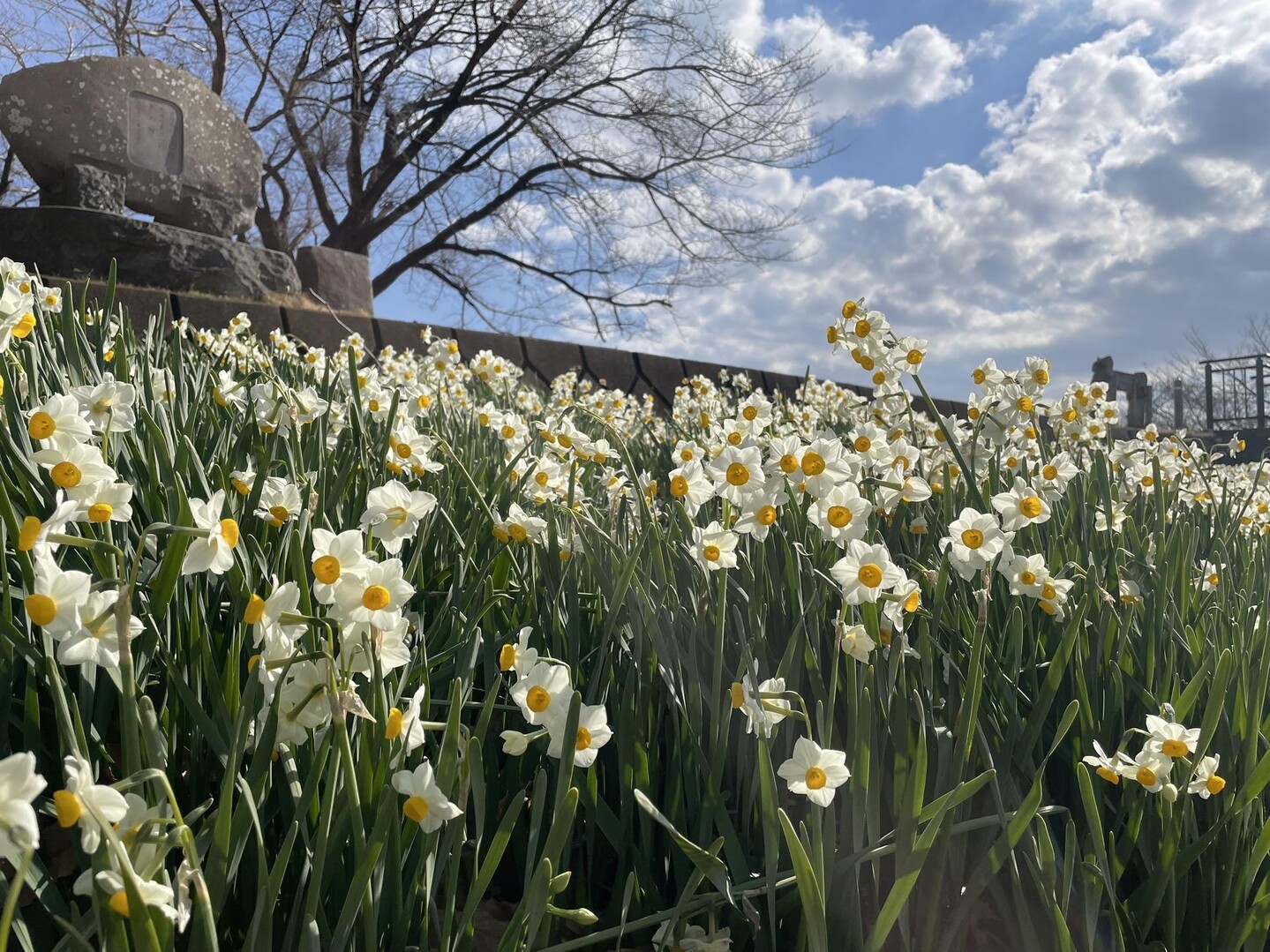 高山・曽我山・不動山・浅間山 / Yumiさんの不動山・浅間山・曽我山の活動データ | YAMAP / ヤマップ