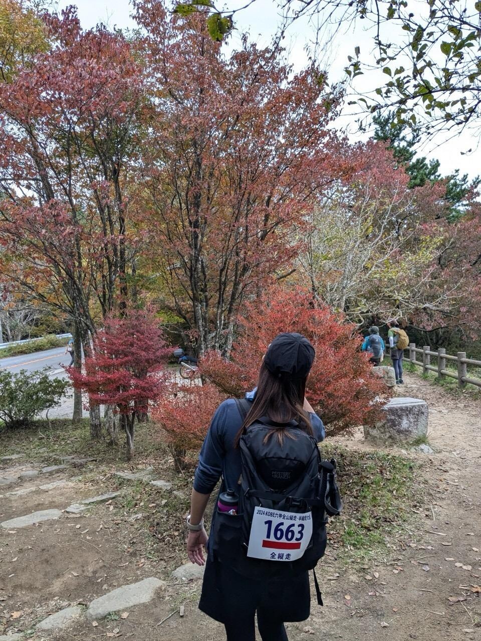 挑戦！2024 第50回六甲全山縦走大会 / MINAMIさんの六甲山・長峰山・摩耶山の活動データ | YAMAP / ヤマップ