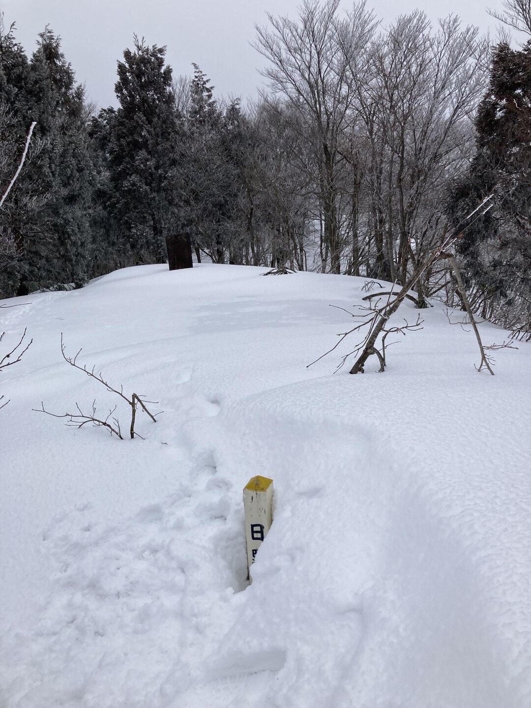 日野山（荒谷コース） / mi_chicoさんの日野山の活動データ | YAMAP / ヤマップ