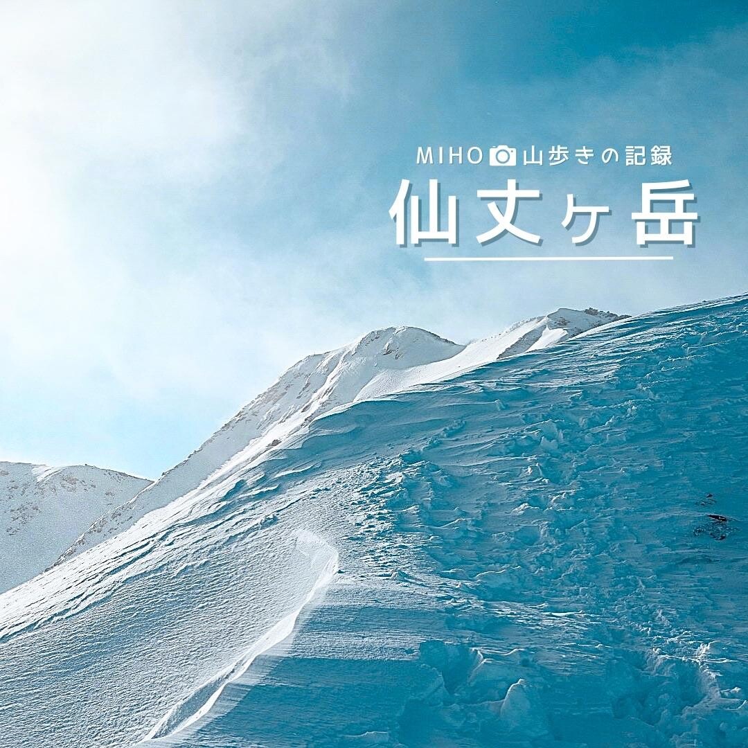 【仙丈ヶ岳】いざ！冬の仙丈へ ️ / Miho📷山歩きの記録さんの仙丈ヶ岳・伊那荒倉岳の活動データ | YAMAP / ヤマップ