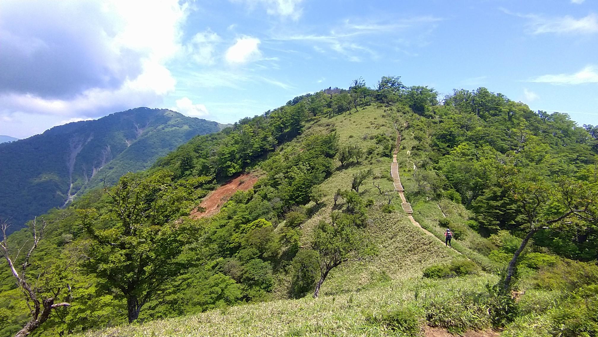塔ノ岳・丹沢山（大倉尾根） / GAKさんの塔ノ岳・丹沢山・蛭ヶ岳の活動データ | YAMAP / ヤマップ