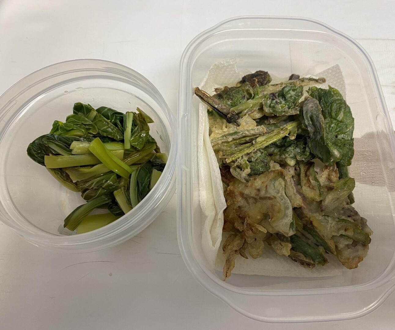 今日の弁当は昨日買った山菜づくし😍 「... / sanaviさんのモーメント | YAMAP / ヤマップ