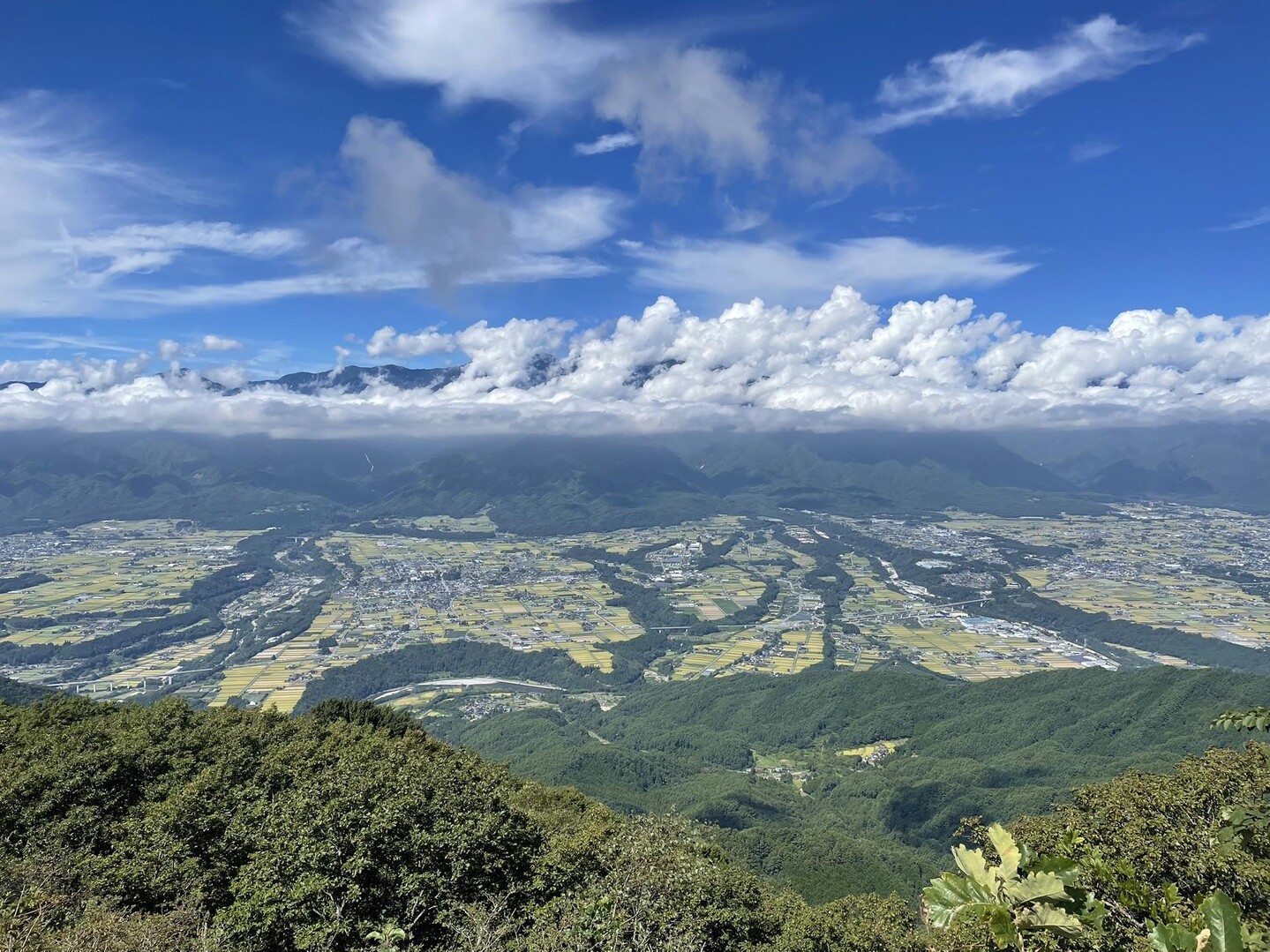 陣馬形山 / minorunさんの陣馬形山の活動データ | YAMAP / ヤマップ