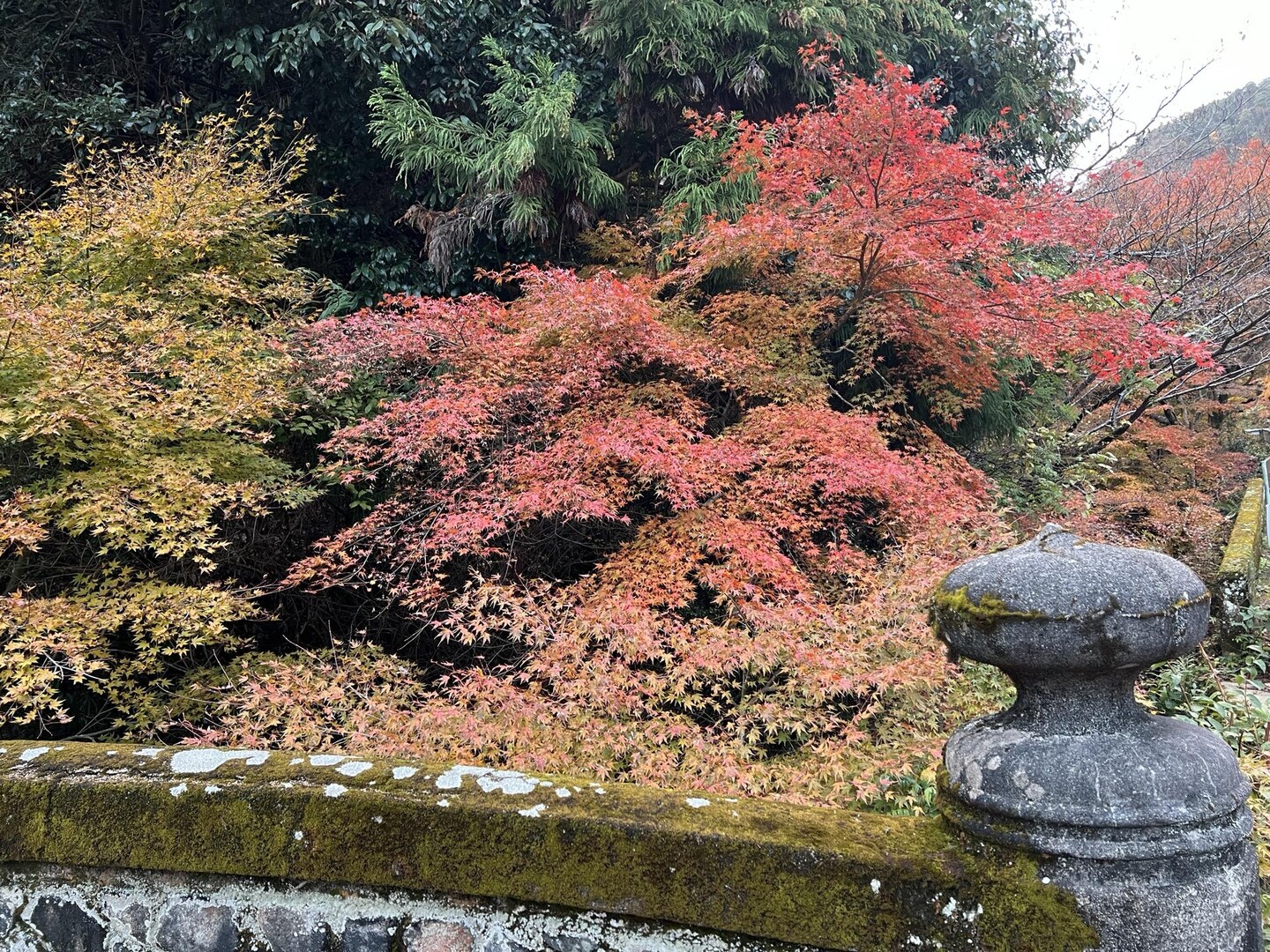 落葉山 / HALさんの六甲山・長峰山・摩耶山の活動データ | YAMAP / ヤマップ