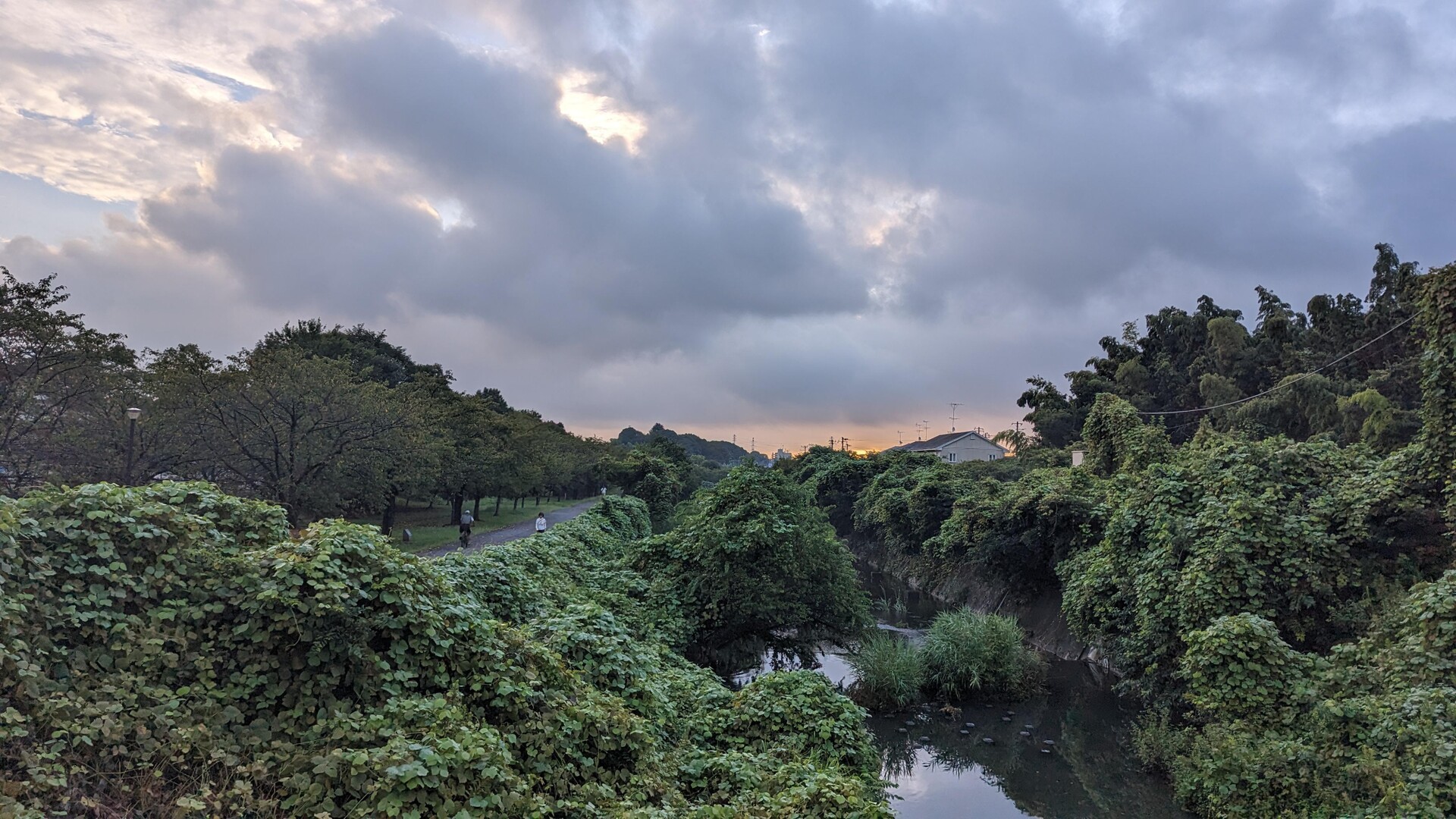 手賀沼ランニング-2023-09-05 / TK54さんのランニングの活動データ | YAMAP / ヤマップ