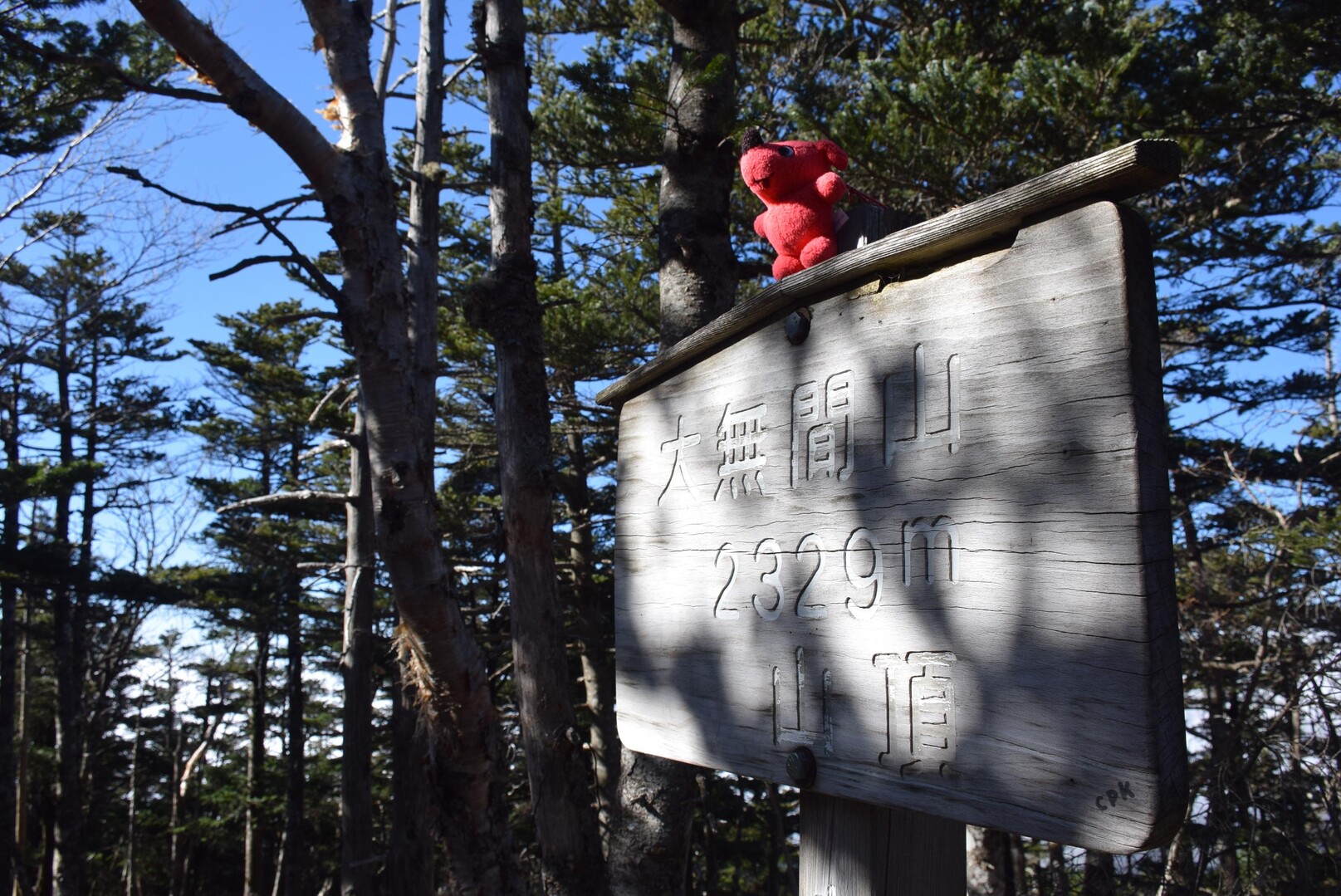 大無間山。 二百名山。 / ritchさんの大無間山の活動データ | YAMAP / ヤマップ