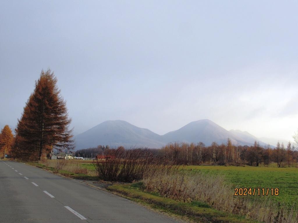 ウオーキング-2024-11-18 / miyaさんのウォーキングの活動データ | YAMAP / ヤマップ