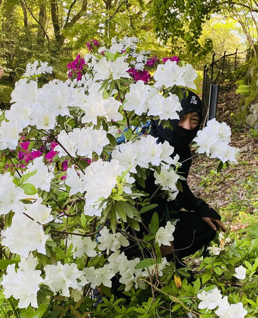 忍者リンピック金沢城大会 / TACK🥷さんのウォーキングの活動データ | YAMAP / ヤマップ