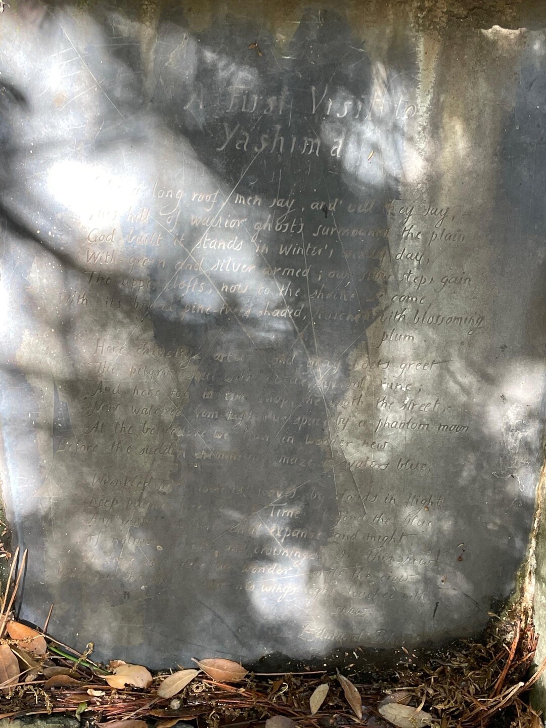 xmatyoさんの投稿したフィールドメモ | YAMAP / ヤマップ