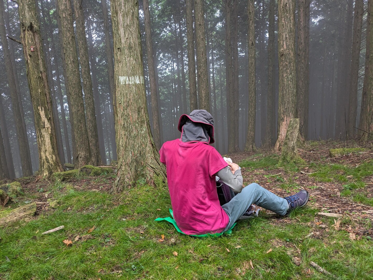 白倉山 / kontomoさんの白倉山の活動データ | YAMAP / ヤマップ