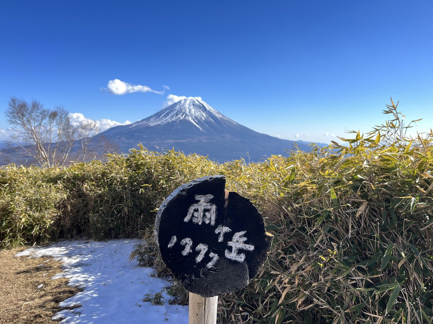 竜ヶ岳・雨ヶ岳 / fumiさんの毛無山・雨ヶ岳・竜ヶ岳の活動日記 | YAMAP / ヤマップ