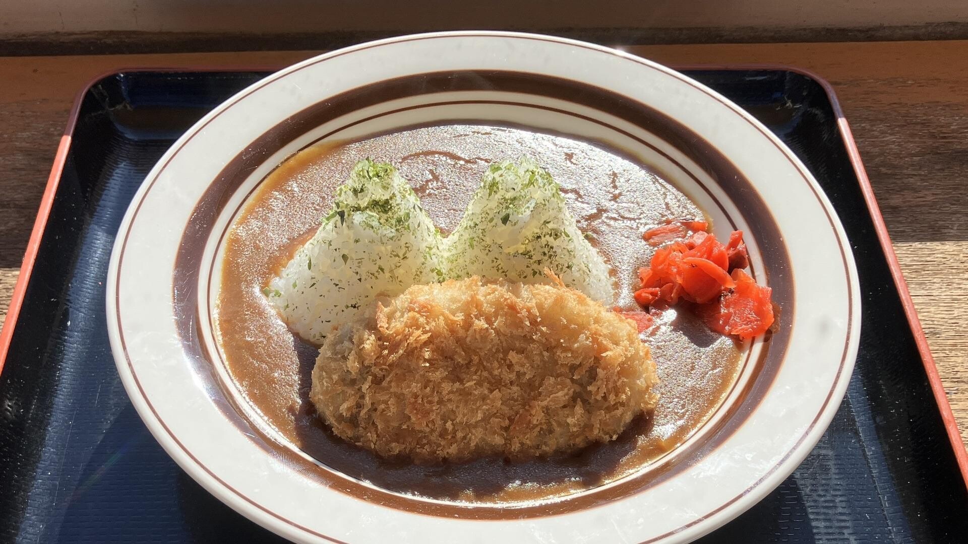 #筑波山 #山カレー 美味👍ライスは男... / TAKIBIさんのモーメント | YAMAP / ヤマップ