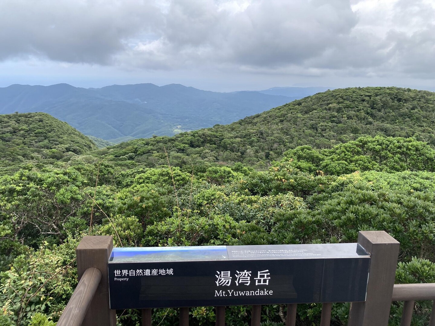 奄美大島最高峰の湯湾岳山頂展望台へ / TQさんの奄美市・大和村・宇検村（奄美大島中部）の活動データ | YAMAP / ヤマップ